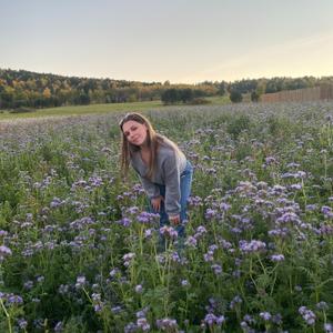 Kris Matrix At Taplink