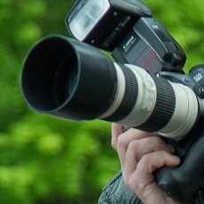 Alexander_photographer at Taplink