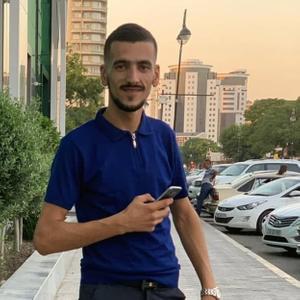 Sedran.official at Taplink