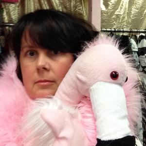 Kateforster at Taplink