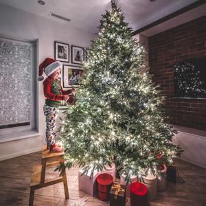 Top_elki_trees at Taplink