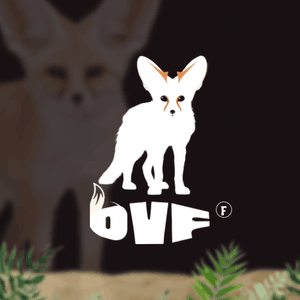 Ovf_design at Taplink