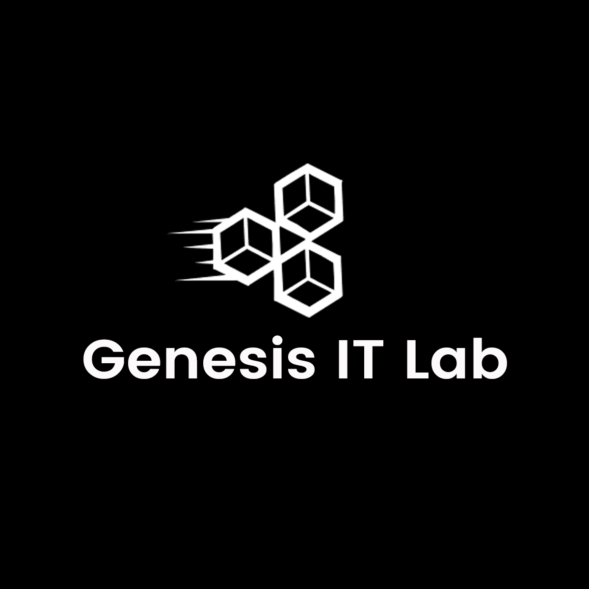 Genesis_it_lab at Taplink
