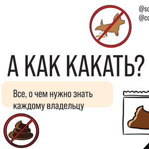 Guide_kak_kakat at Taplink