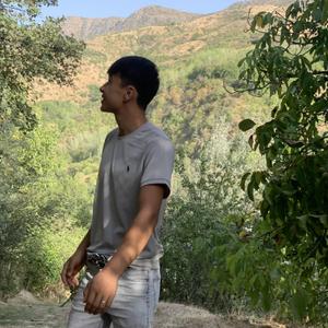 Bekzod_official at Taplink