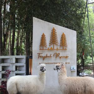 Tangkalpinus at Taplink