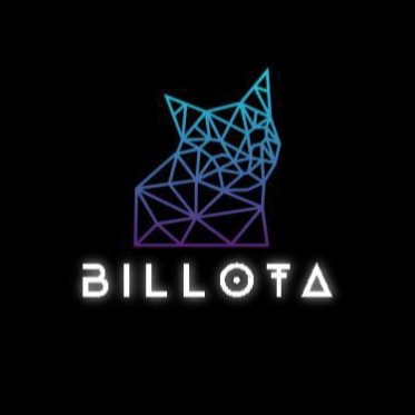Billota.myshopify.com at Taplink