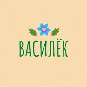Vasilek_shoptoys at Taplink