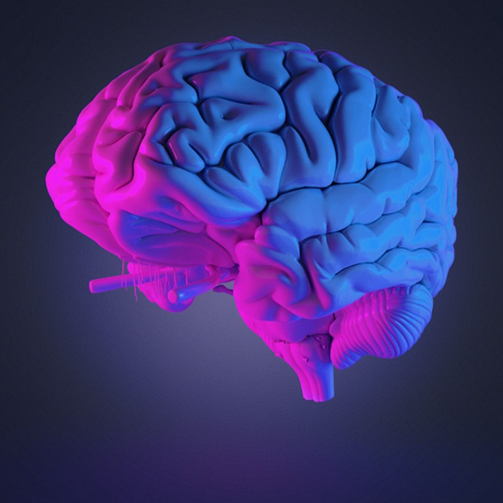 10_mind_trainer at Taplink