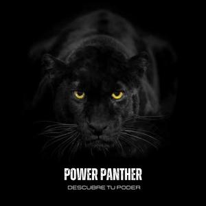 Powerpanther at Taplink