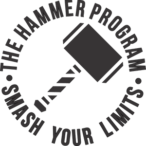 The.hammerprogram at Taplink