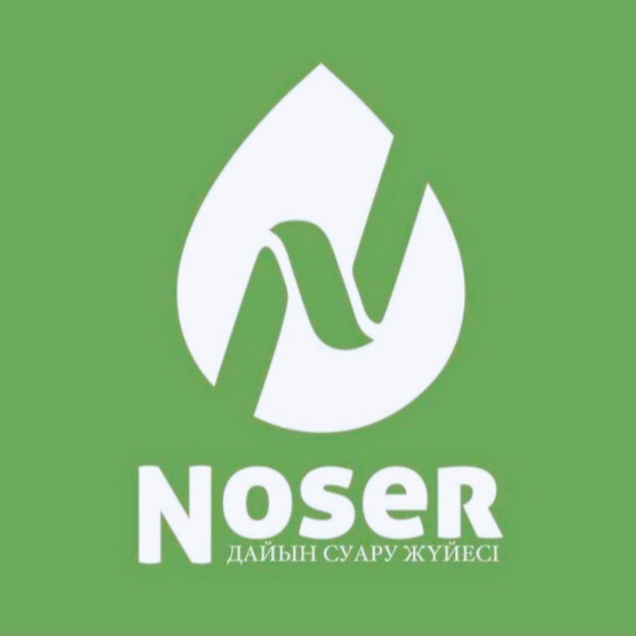 Noser.official at Taplink