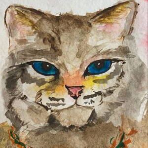 Art_kooper at Taplink