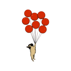 Spike.balloons at Taplink