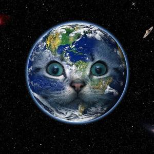 Cats_world_in at Taplink