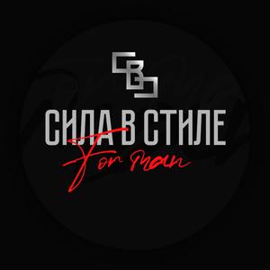 СИЛА В СТИЛЕ