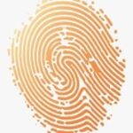 Merkul.official at Taplink