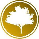 Amber_trees_store at Taplink