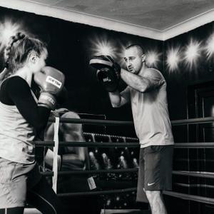 Sharks_fight_club at Taplink