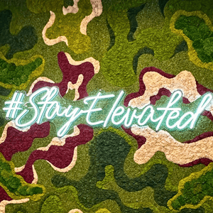 Elevated.bcs at Taplink