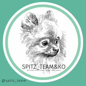 Spitz_team at Taplink