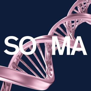 Soma.fest at Taplink