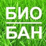 Bioban.official at Taplink