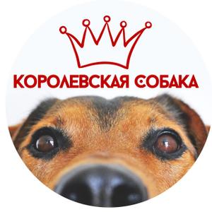 Korolevskaya_sobaka at Taplink