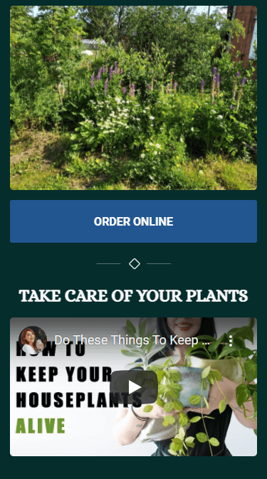 How to repost on Instagram: full guide